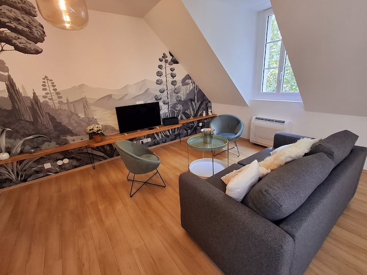 Appartement Spacieux Centre Ville  Parking Privé - Tours