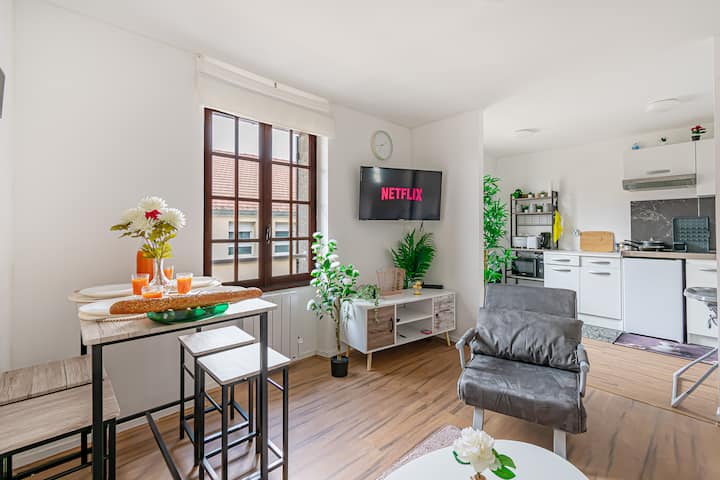 Grand Appart 38m2, Cdg Aéroport, Disneyland Paris. - Sevran