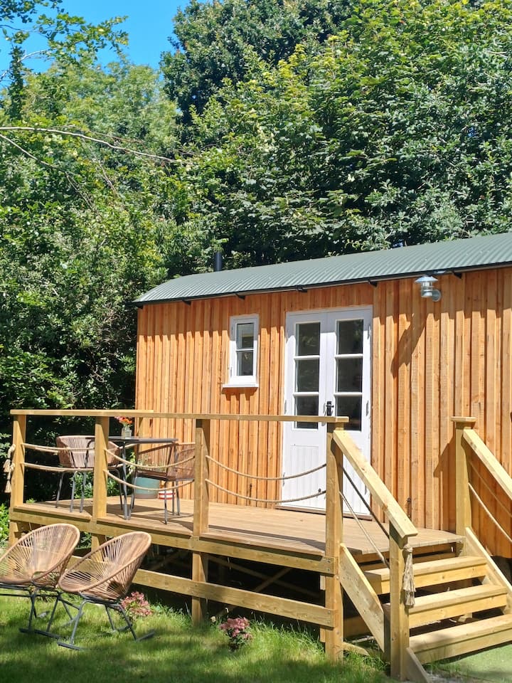 Cornwall's Beautiful Looe Valley By The Train Line - Liskeard
