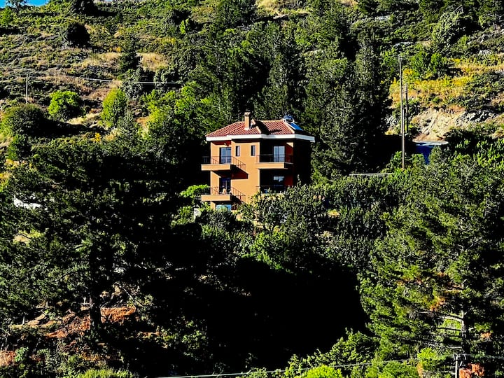 Villa Calliopi / Kyperounta - Какопетрия