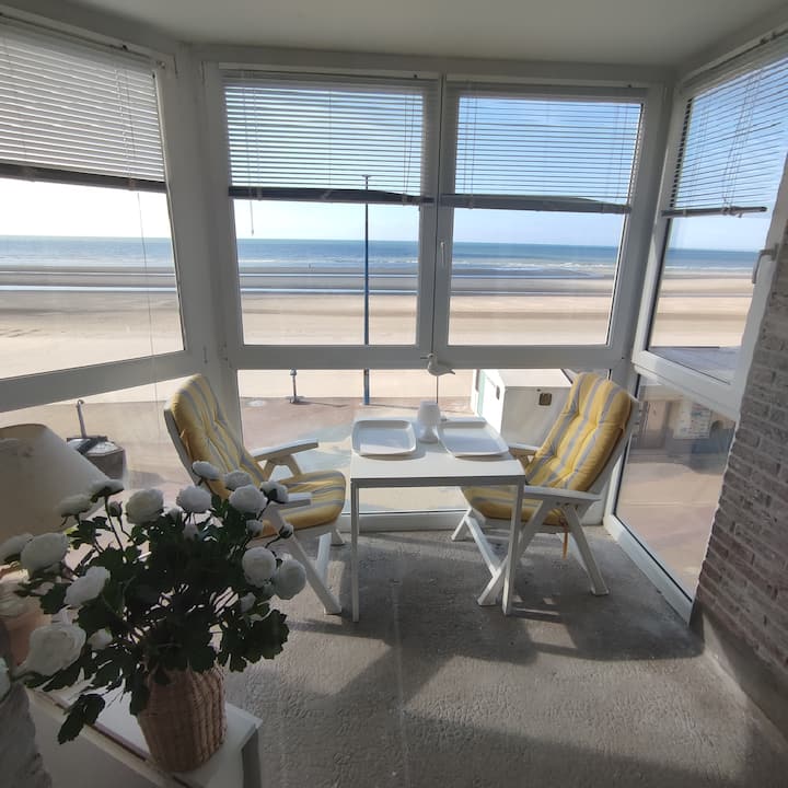 Vue Panoramique Face Mer 180° - Bray-Dunes