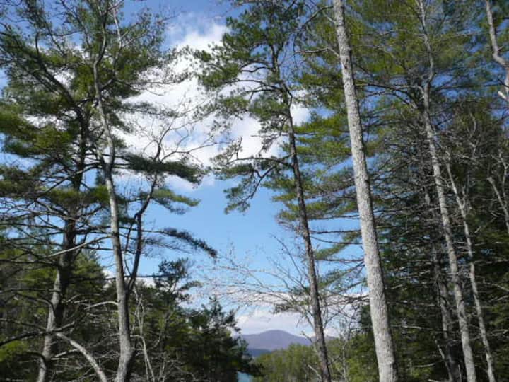 Beautiful Lake Front Home In Bear Paw - Murphy, NC