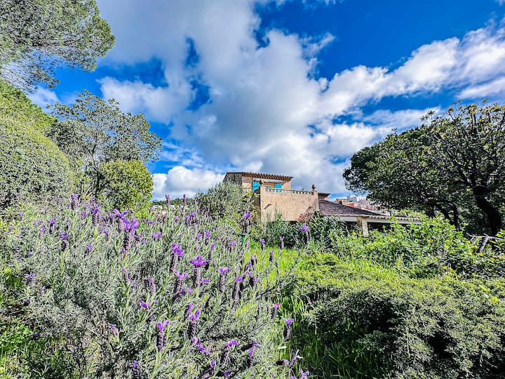 Villa Caroline - Sainte-Maxime