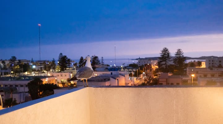 Appartement Magnifique / Terrasse Privée Vue Mer - Essaouira