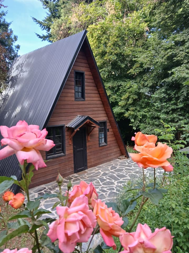 Cabaña Liza Private Estate - San Carlos de Bariloche