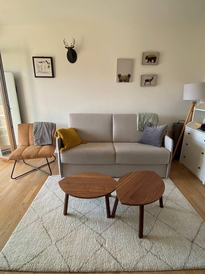 Charmant Studio Valberg - Valberg