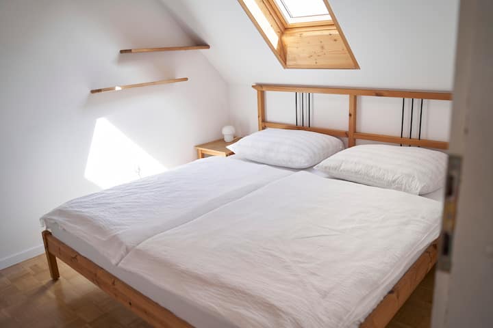 Ljubljana City Dragon Apartment - Ljubljana