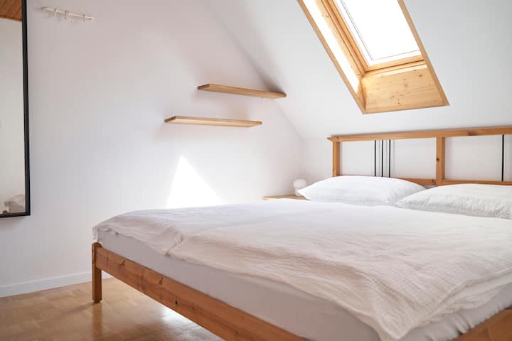Ljubljana City Dragon Apartment - Ljubljana