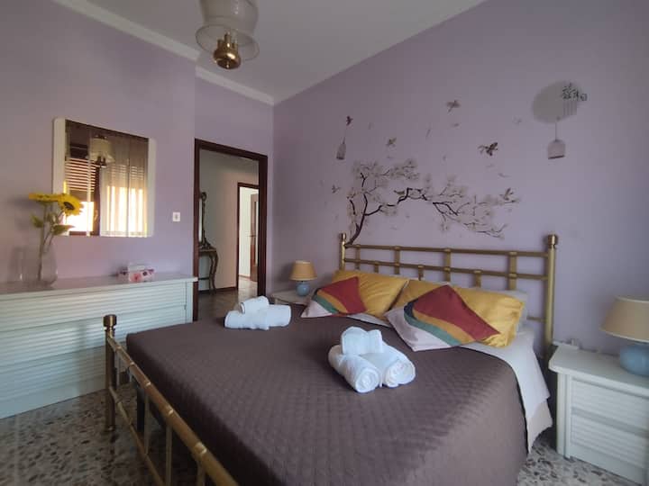 Allianz Stadium-torino, La Mandria Infinity-house - Turin