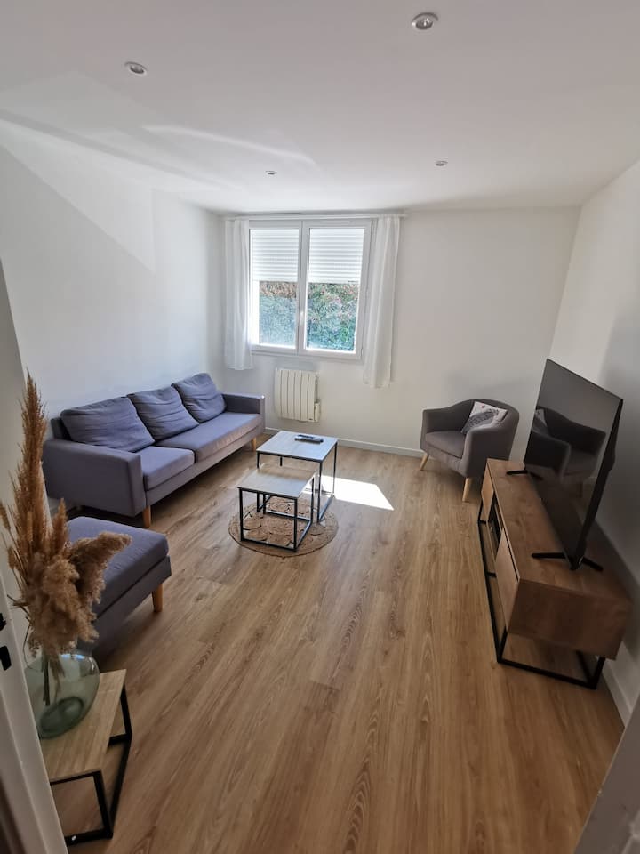 Appartement 10mn Gare Et Centre Ville - ibis Montpellier Sud