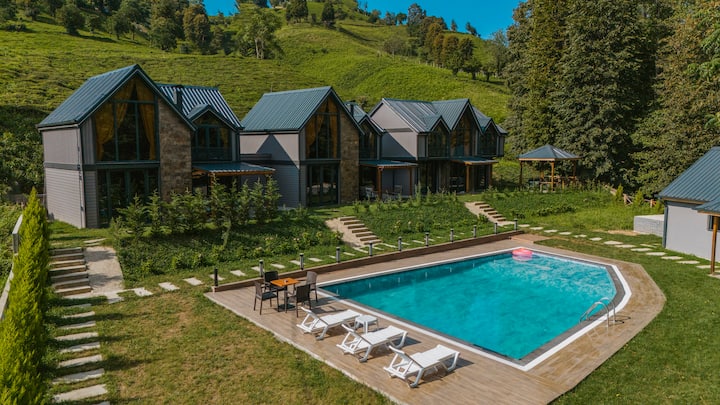 Doğanın Içinde, Jakuzili, şöMineli, Havuzlu Villa. - Ardeşen
