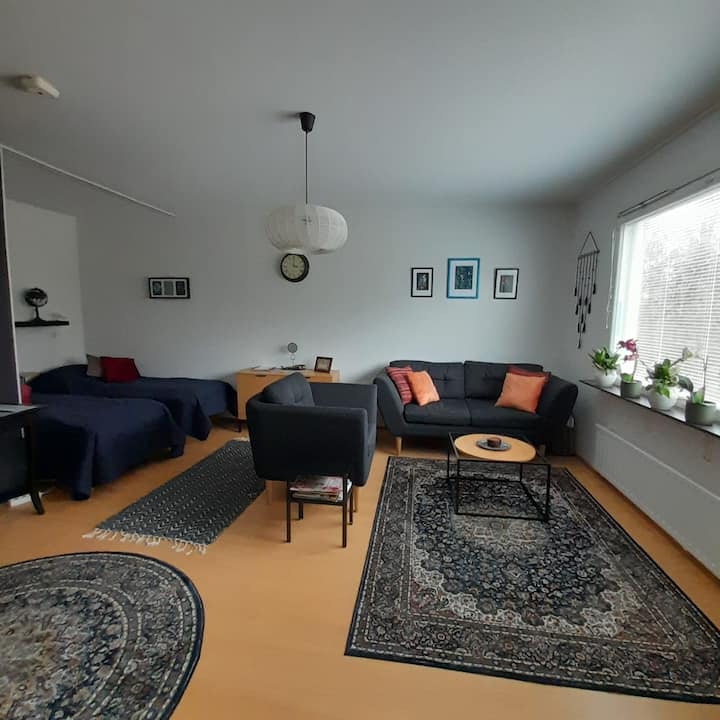 Viihtyisä Ja Valoisa Yksiö - Tampere