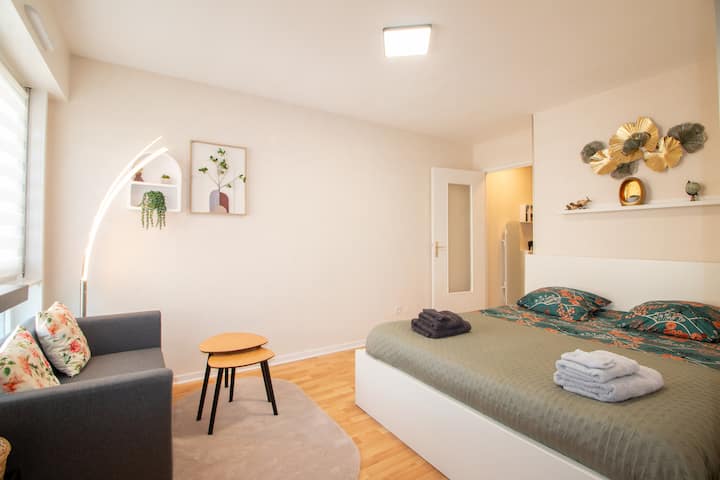 Studio Strasbourg Proche Gare + Parking Privé - Strasbourg