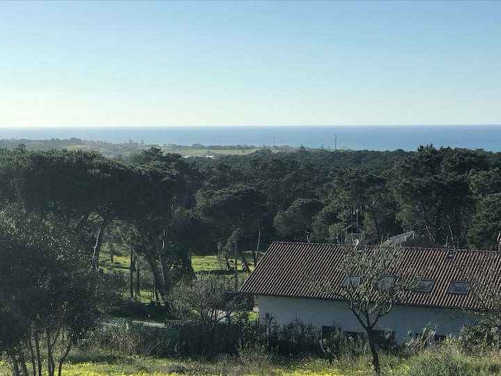 Seasintra - Sintra
