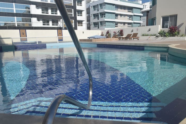 50 Metros Da Praia Dos Ingleses Norte. Gaivotas. - Florianópolis