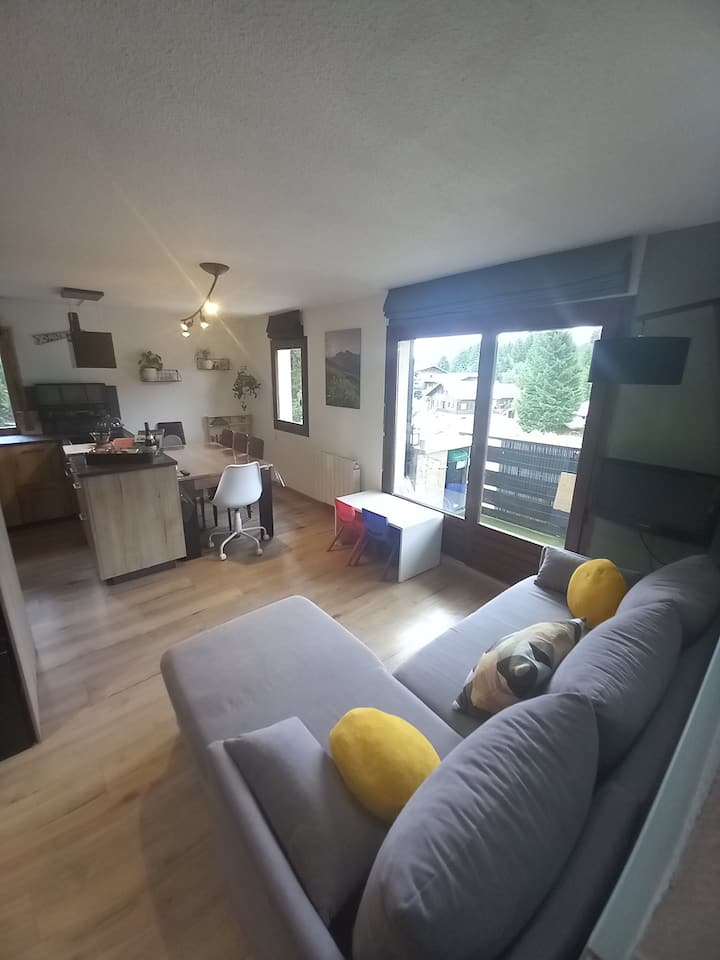 3 éToiles Au Cœur Des Montagnes Et Du Ski - Taninges