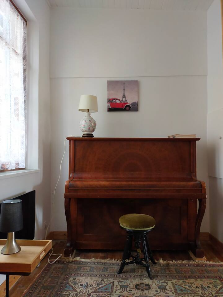 Appartement Spacieux Et Lumineux Avec Piano Droit - Montbel