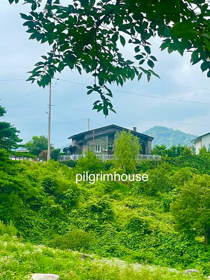 고요 316 - Gumi-si