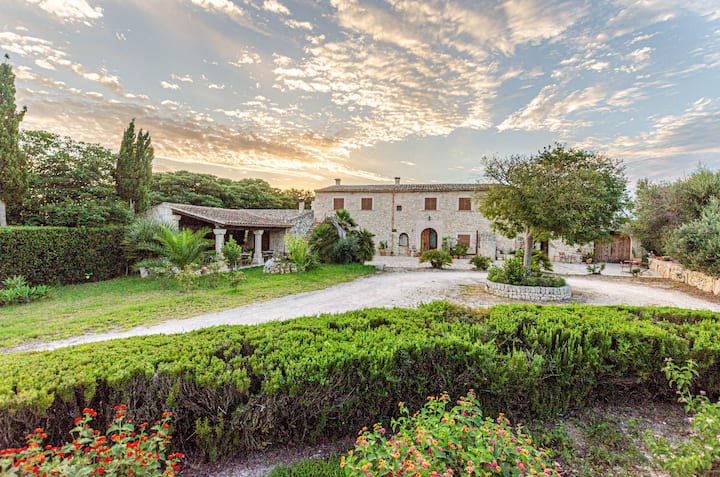 Estudi Terrassa Piscina Esmorzar - Mallorca