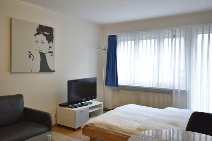 Studio In The Heart Of Zurich (Crown 35) - Zurich