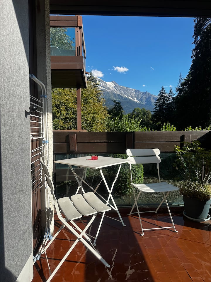 Castel De Roche 16 - Les Houches