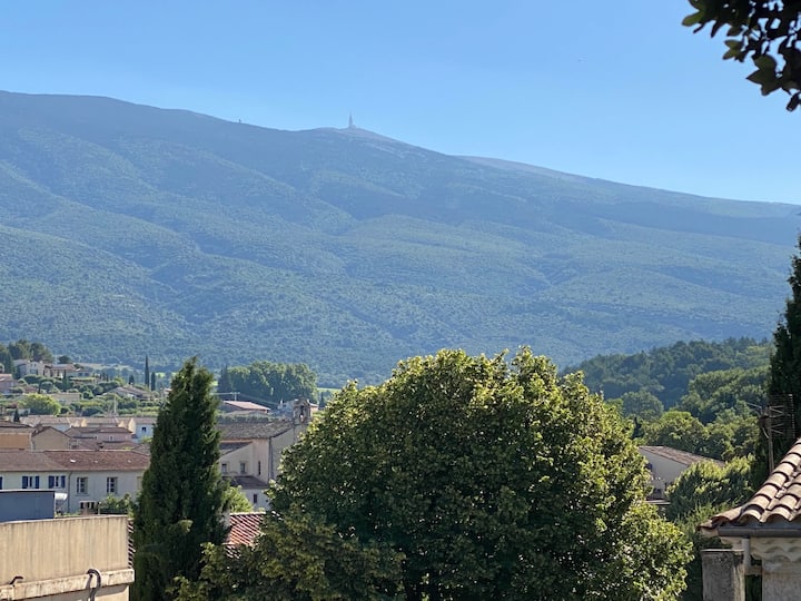 Le Jardin Sur Le Toit. Maison Bédoin-mont-ventoux - Bédoin