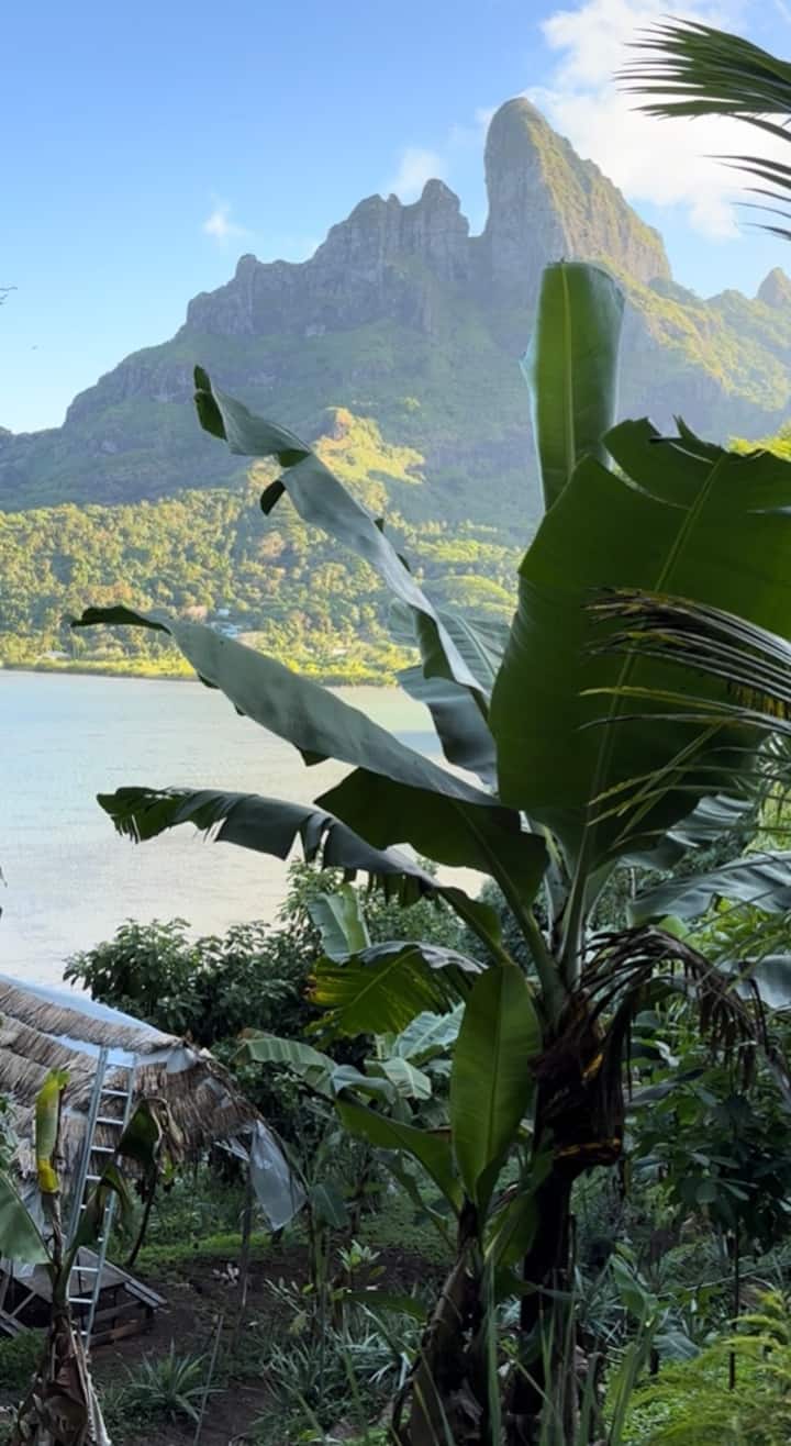 Bora Eco Camp
Cabane 1 - Bora-Bora