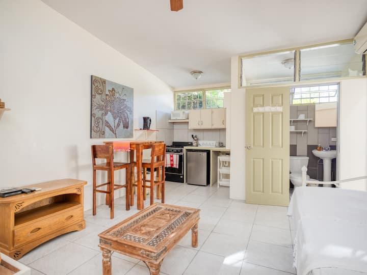 Lejeune's Garden Studio - Port of Spain