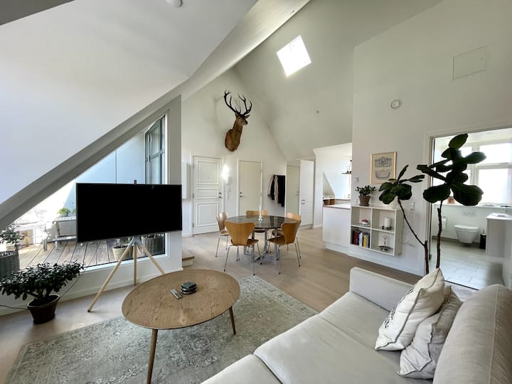 Beautiful Copenhagen Apartment - Copenhaguen