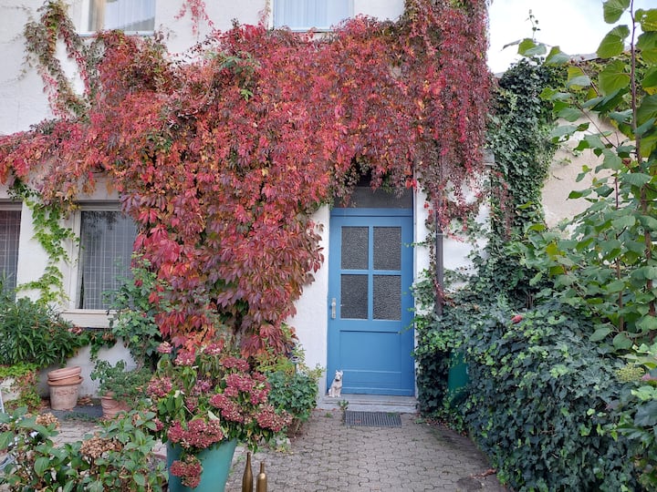 Gemütliches Gästezimmer Zentrumnah - Freiburg im Breisgau