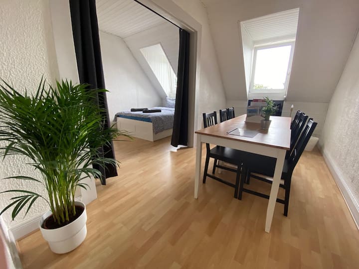 Bel Appartement Lumineux - Mulhouse