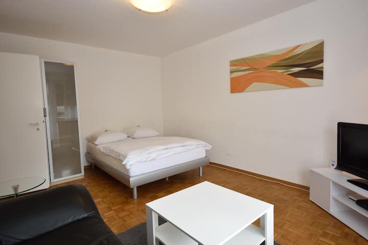 Spacious Studio Near Lake And Opera (Mill 5.12) - Zurich main station