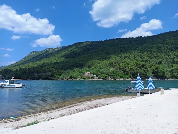 Home Sea Of Serenity - Ston