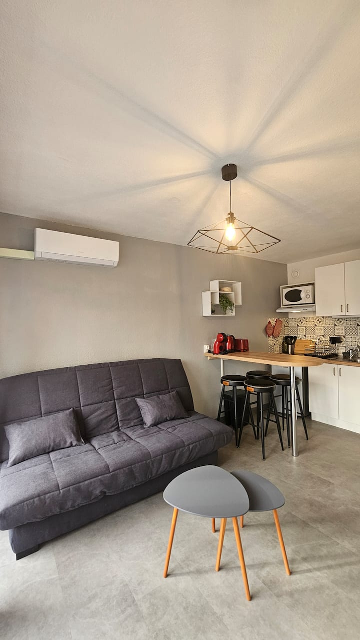 Sudio Confortable Très Bien éQuipé Clim/parking ! - Sète