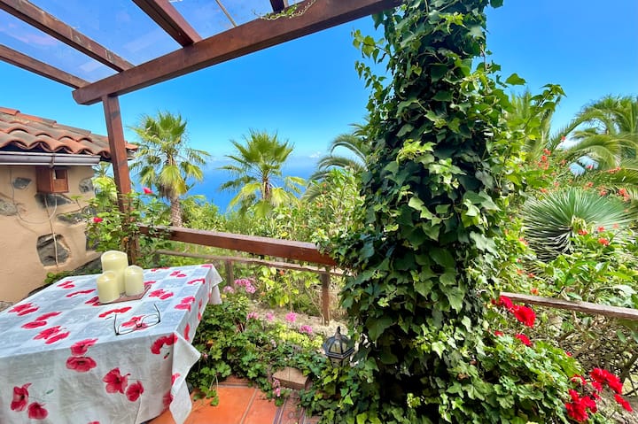 Cozy Studio, Traumblick & Tropischer Garten - Garachico