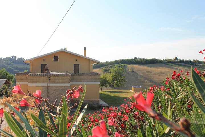 Agriturismo A Piagge - Marcas