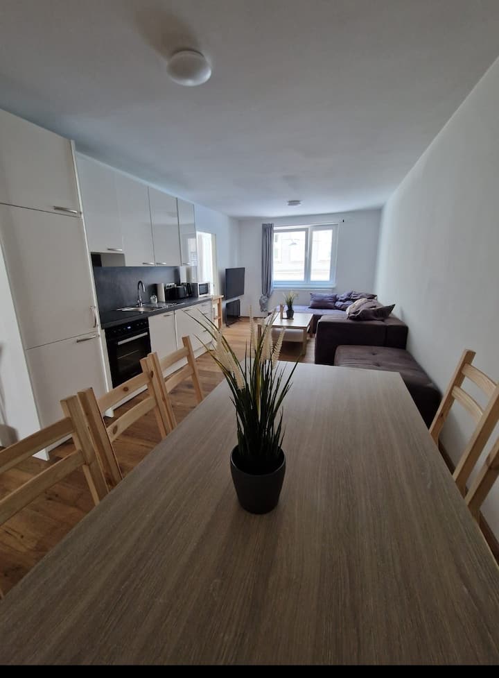 Charming 3 Bedroom Apartment 10th District - Viena