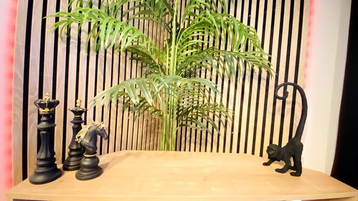 Studio Cosy - Piscine & Parking Launaguet/toulouse - Aucamville