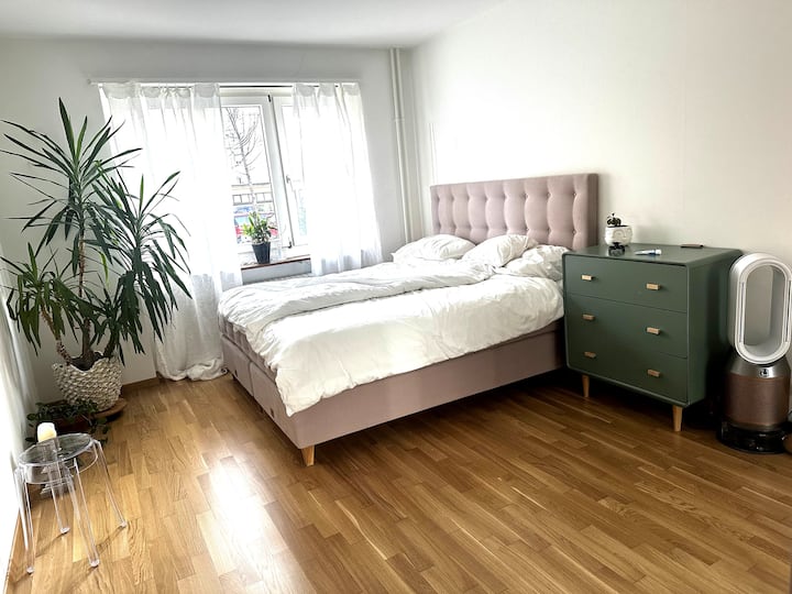 Cute & Central City Flat 
- District 4 - Zürich
