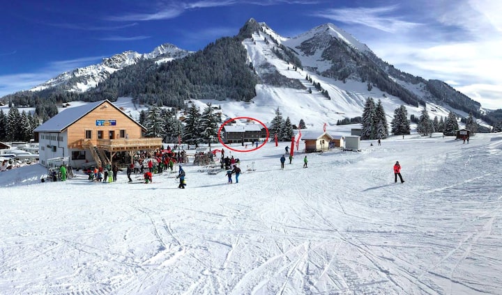 Le Nid Alpin - Les Diablerets