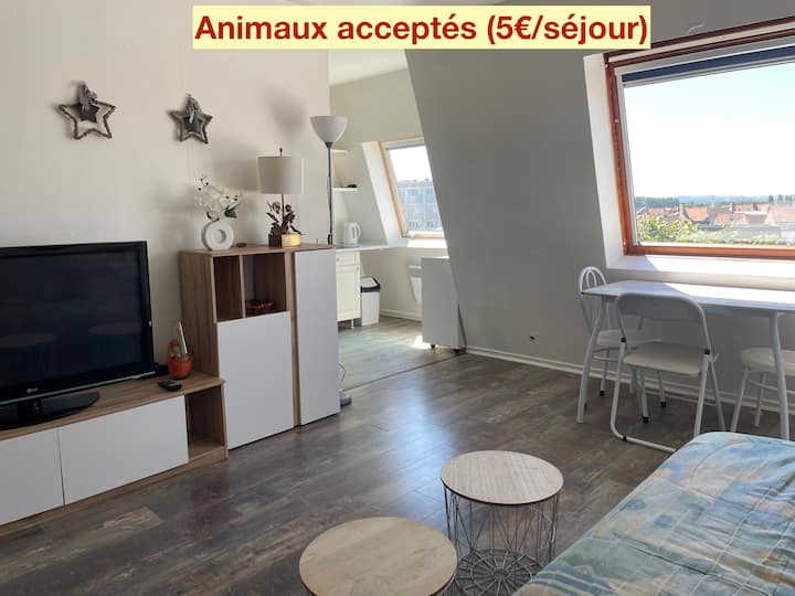 Grand Studio Avec Ascenseur - Calais