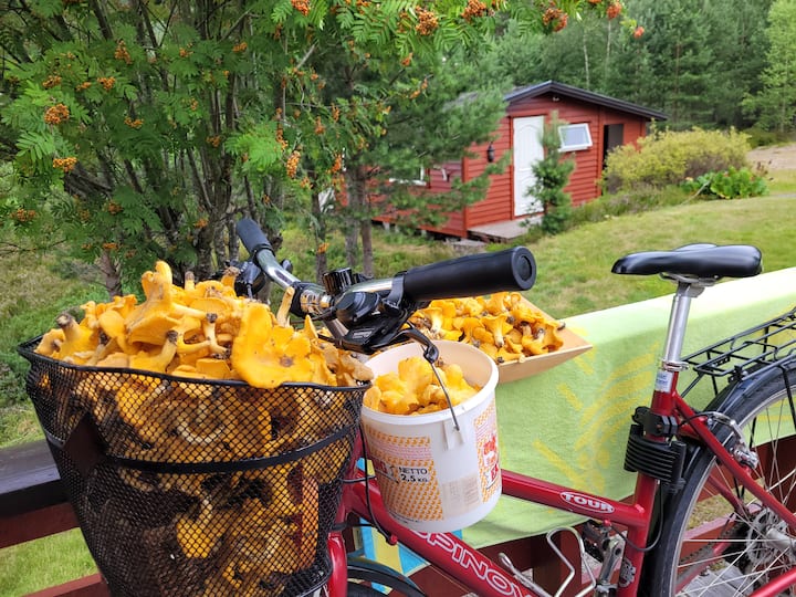 Koselig Hytte Ved Nisser - Norway