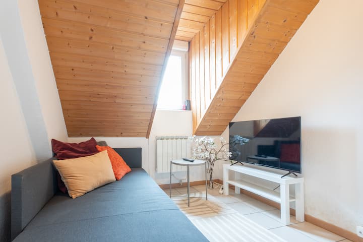 Bel Appartement 3pers Stationnement Gratuit Centre - Mulhouse