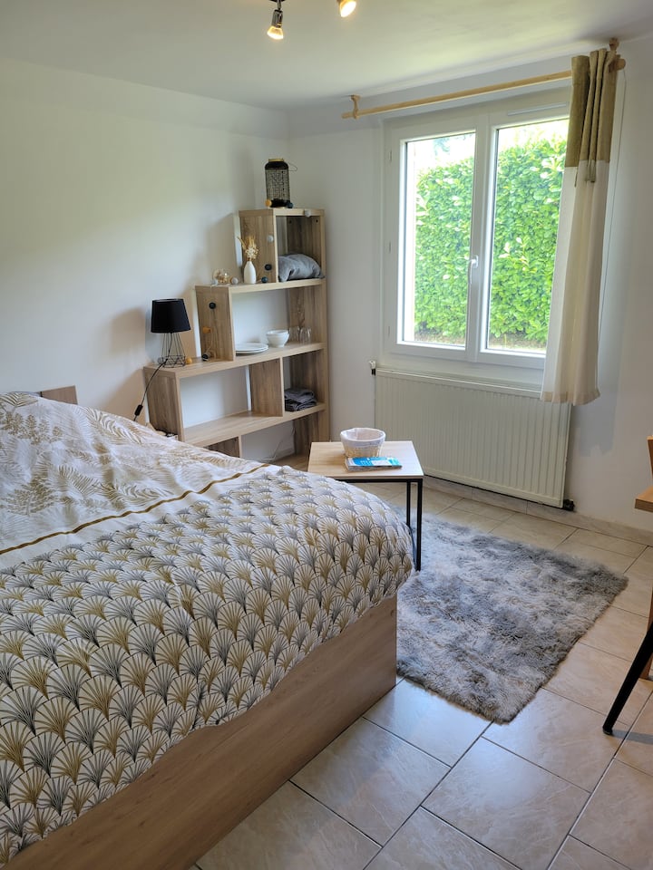 Chambre Et Sdb Indépendantes - Bourgoin-Jallieu