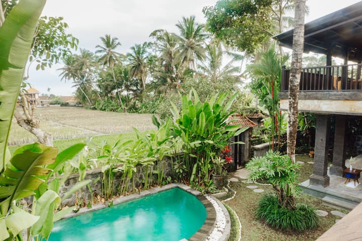 Ubud Green Rice Field View Villa With Private Pool - Ubud