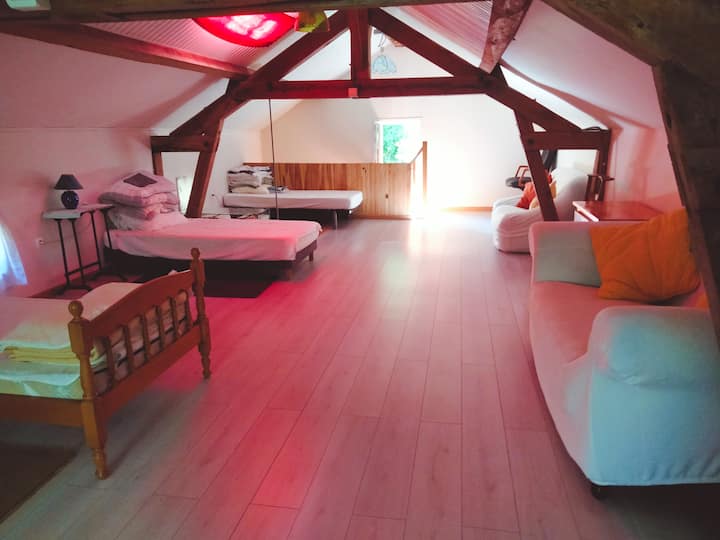 Airial Landais - Landes