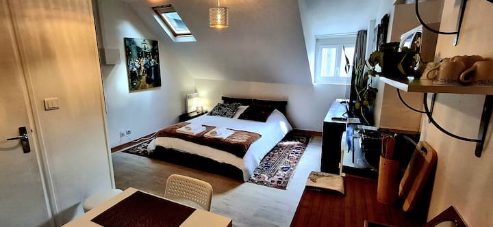 Appartement Plein Centre  Lit King Chez Eric 7 - Tours