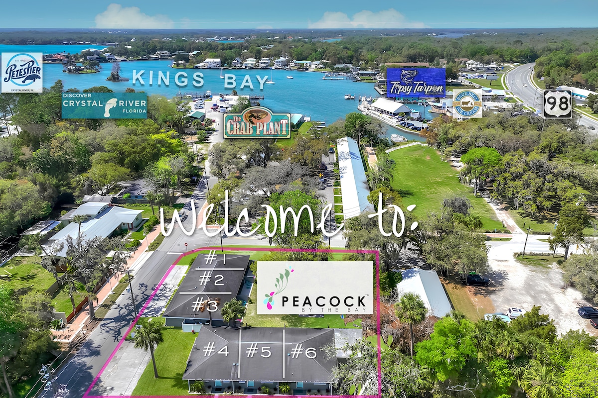 Crystal River Vacation Rentals | Airbnb