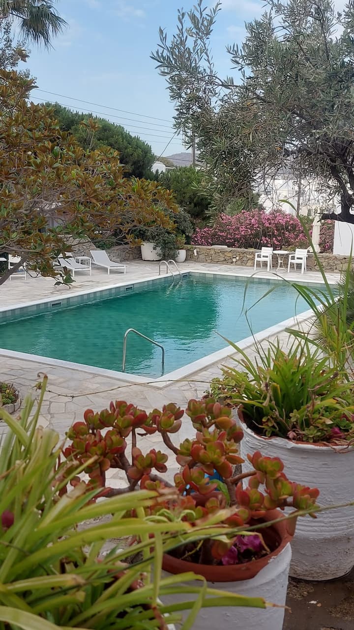 Shoshana's Diamond - Mykonos