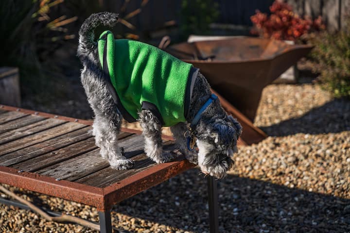 Mountbatten Escape - Bright